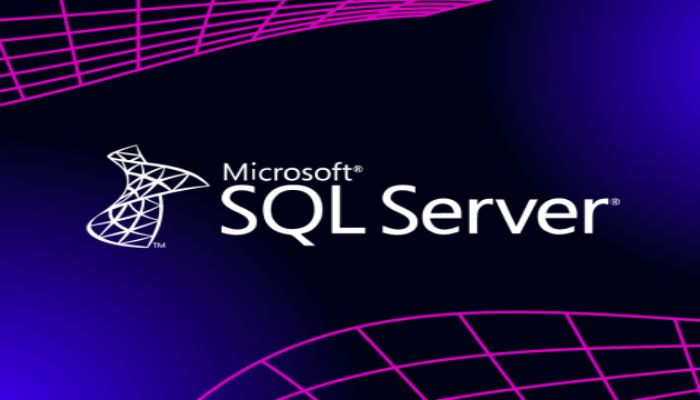 How To Build A Rest API for SQL Server: A Step-By-Step Guide - 𝕋𝕖𝕔𝕙𝕟𝕖𝕨𝕤𝕚𝕟𝕗𝕠𝕠